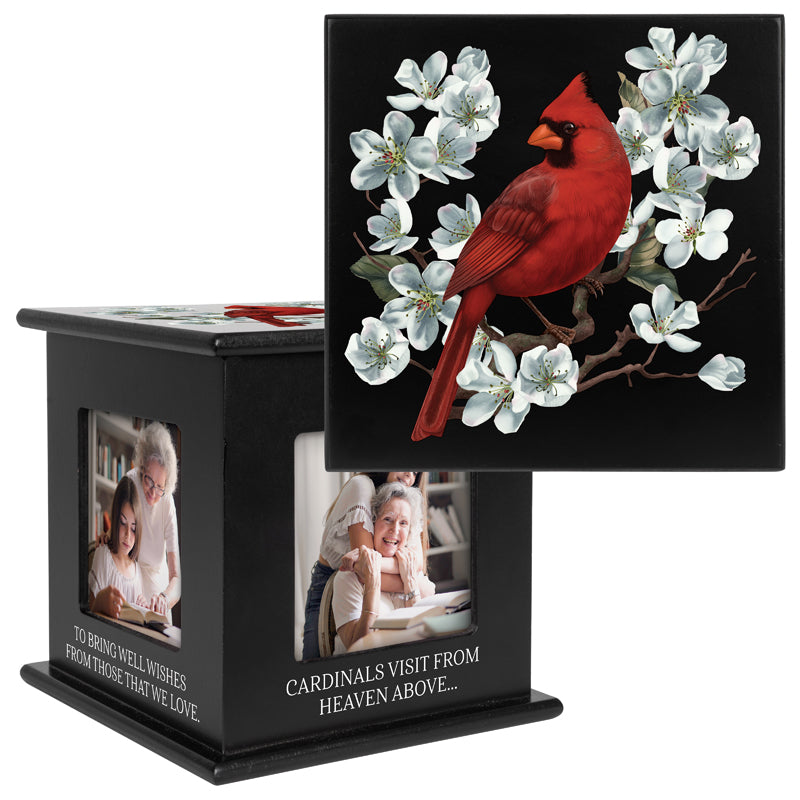 Frames-Cardinals Appear photo cube – The Remembrance Center